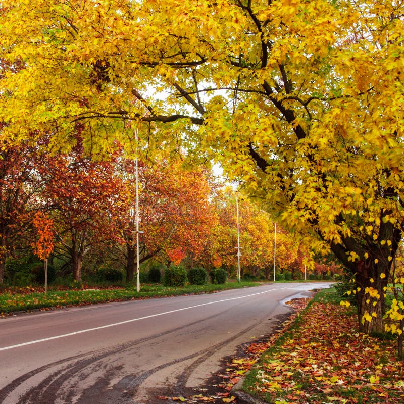 Autumn landscape with road stock photo. Image of path - 27951198