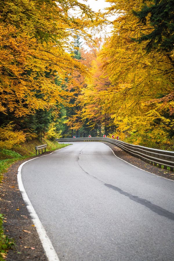 Autumn Landscape with Road and Beautiful Colored Trees Stock Image ...