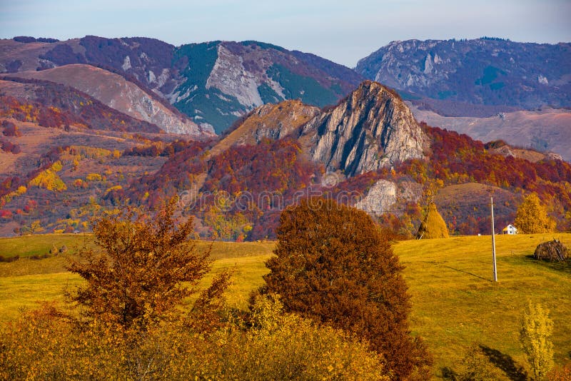 Autumn Landscape in Romania Stock Image - Image of hill, birch: 125582899