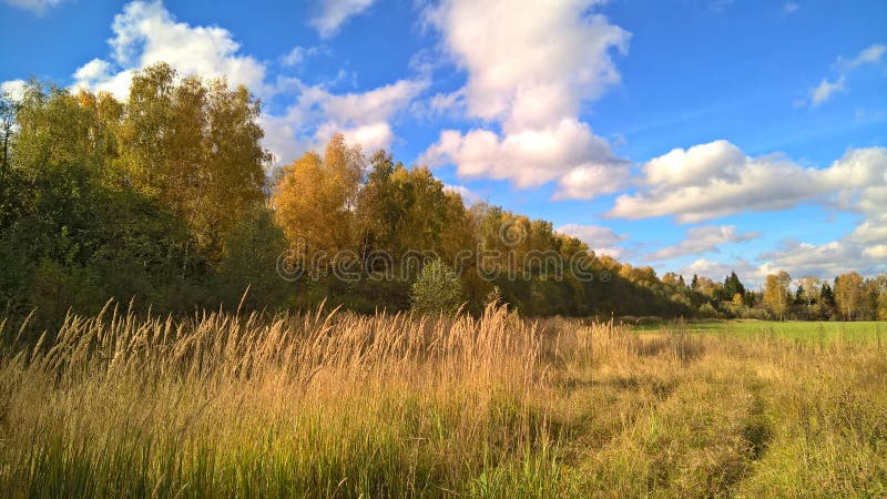 Autumn landscape stock image. Image of freshness, flower - 160215439