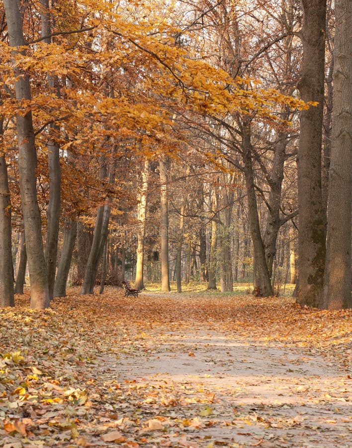 Autumn Landscape in Shades of Brown Stock Image - Image of light, leaf ...