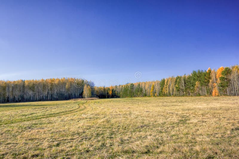 Autumn Landscape Sloping Meadow on a Background of Forest and Mountains ...