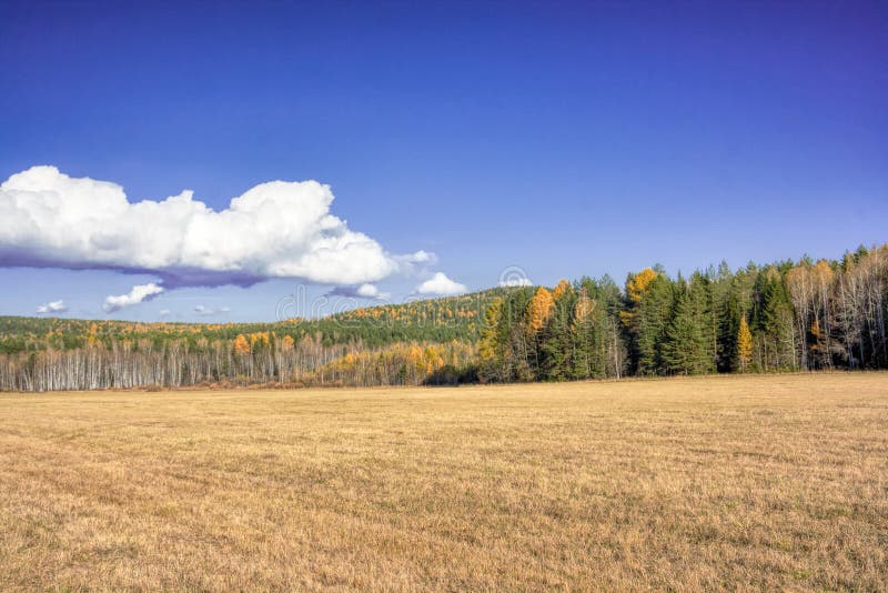 Autumn Landscape Sloping Meadow on a Background of Forest and Mountains ...