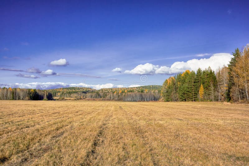 Autumn Landscape Sloping Meadow on a Background of Forest and Mountains ...
