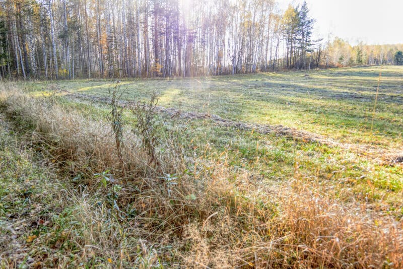 Autumn Landscape Sloping Meadow on a Background of Forest and Mountains ...