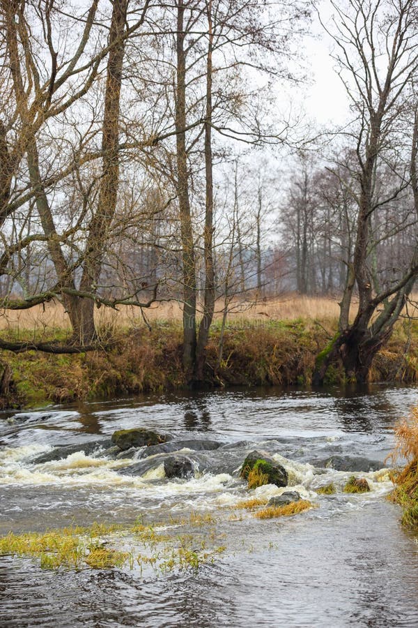 Autumn Landscape a Small River Stock Image - Image of national, stream ...