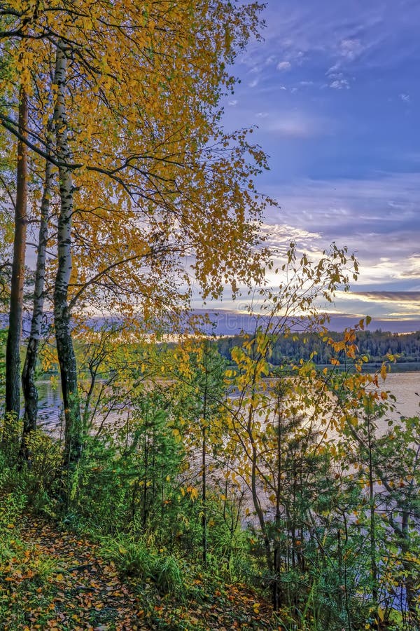 Autumn Landscape Sunset In The Forest By The Lake. Beautiful View In ...