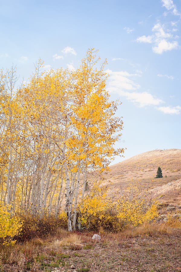 Autumn Landscape with Trees, Blue Sky and Clouds. Stock Image - Image ...