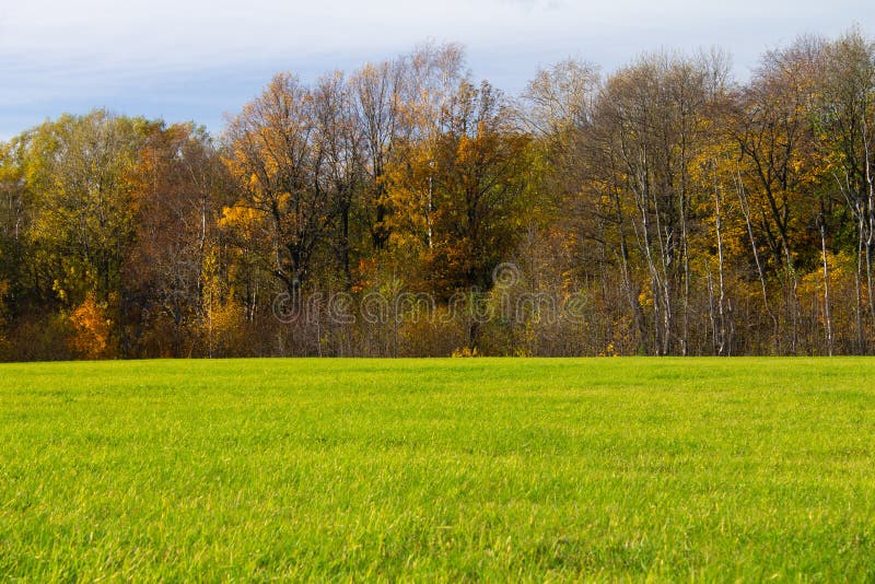 Autumn Landscape with Trees and Lawn in the Foreground. Stock Image ...