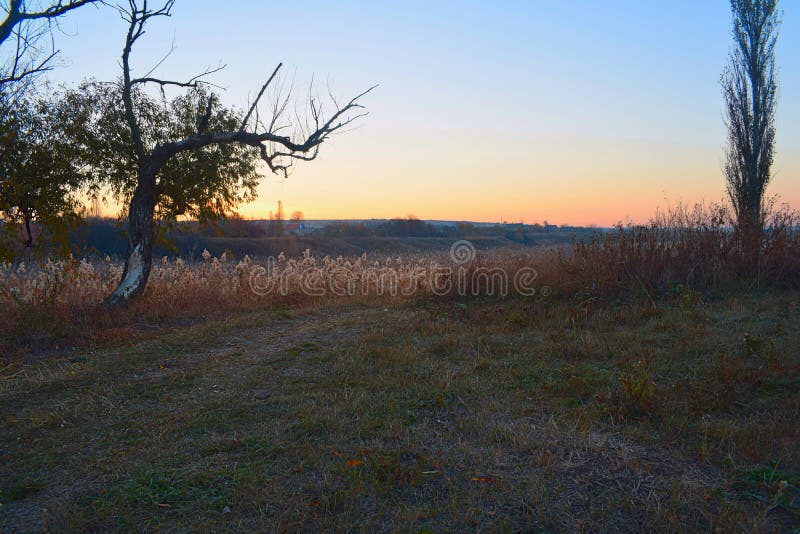 Autumn Landscape with Trees and Morning Dawn Stock Image - Image of ...