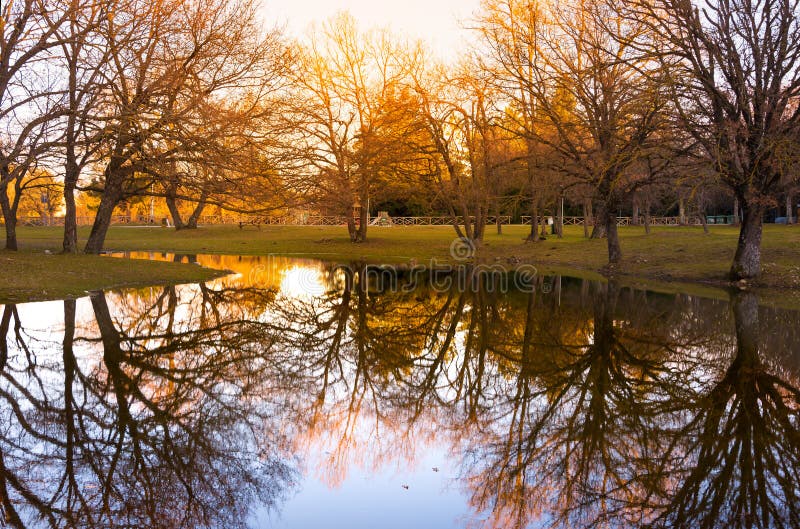 Autumn Landscape with Trees Reflecting in Water Stock Image - Image of ...