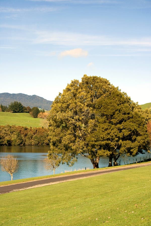 River with Blue Sky and Trees Stock Photo - Image of marilyngould ...