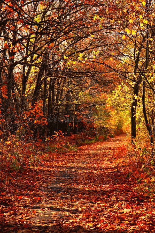 Autumn landscape stock image. Image of sunlight, october - 47170559