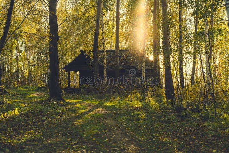 Autumn Landscape with a Wooden House in the Forest Stock Image - Image ...
