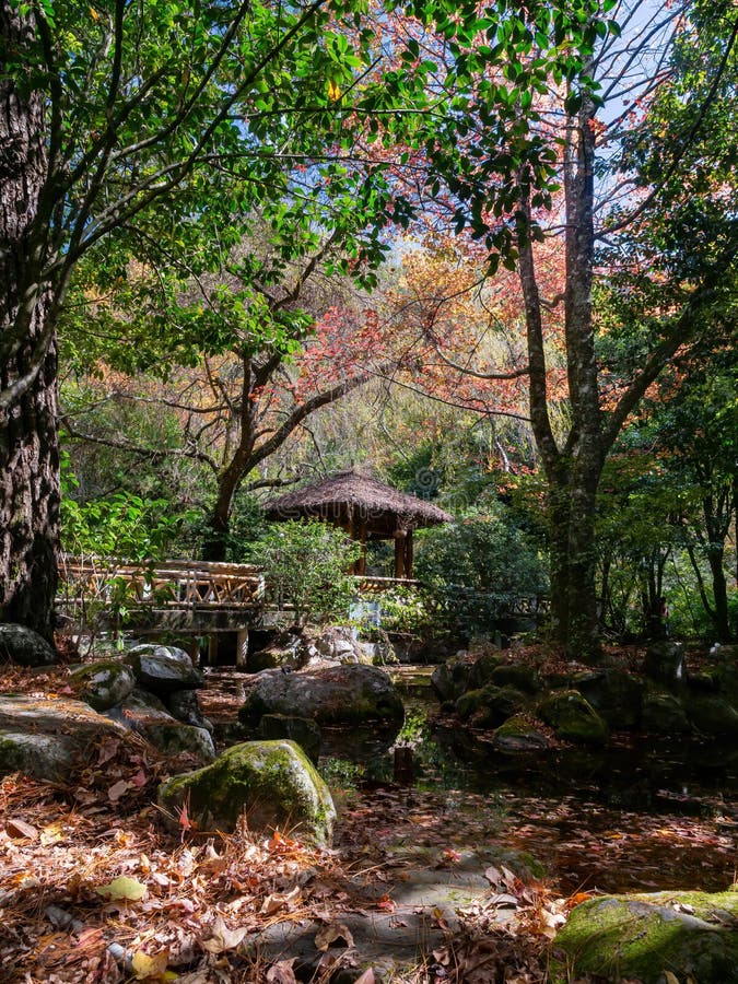 Autumn Landscape in Wuling Farm Stock Image - Image of nature, outdoor ...