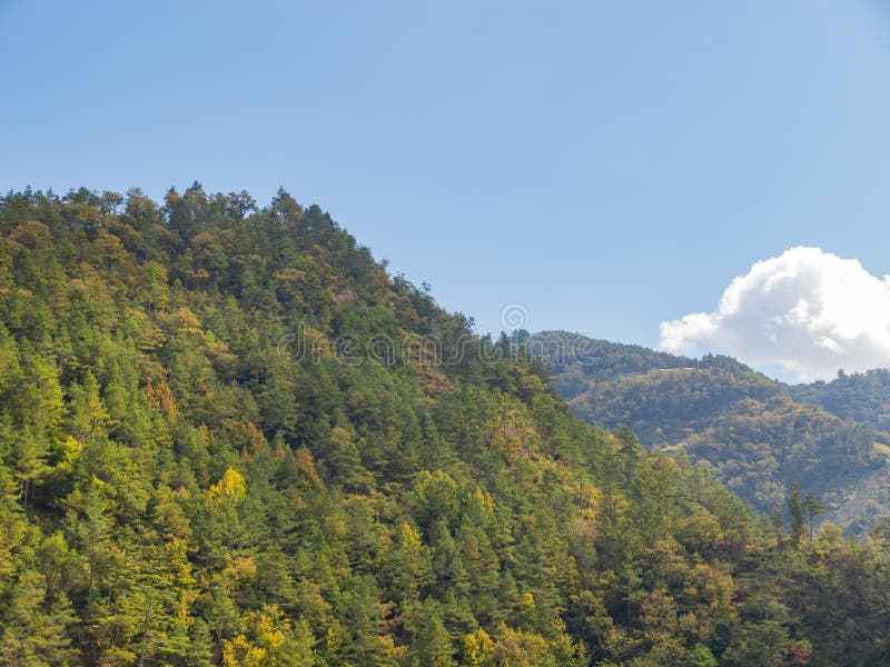 Autumn Landscape in Wuling Farm Stock Photo - Image of mixed, people ...