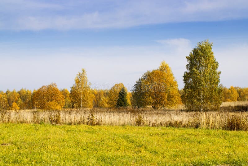 Autumn Landscape. Yellow Field and Blue Sky Stock Image - Image of ...