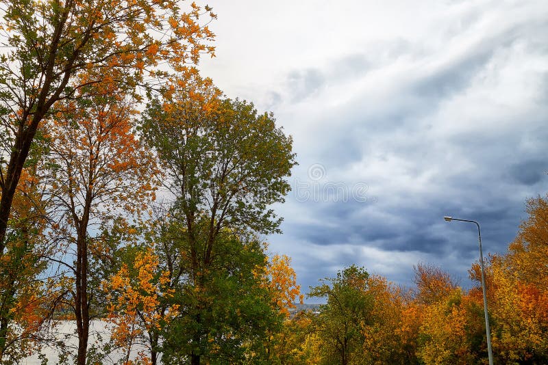Autumn Landscape with Colorful Foliage and Golden Grasses in a Serene ...