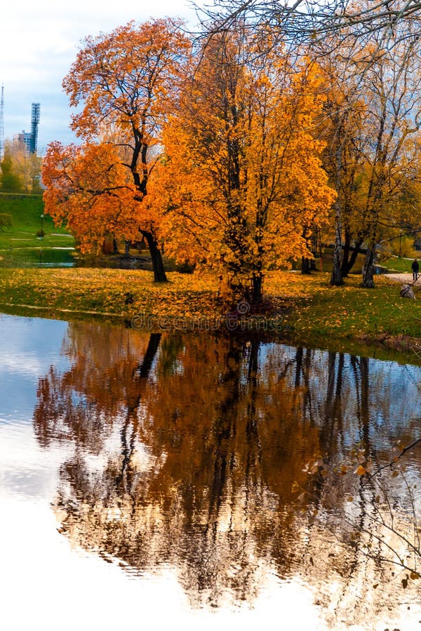 Autumn Landscape with Yellow-orange Trees and Reflection in the Water ...