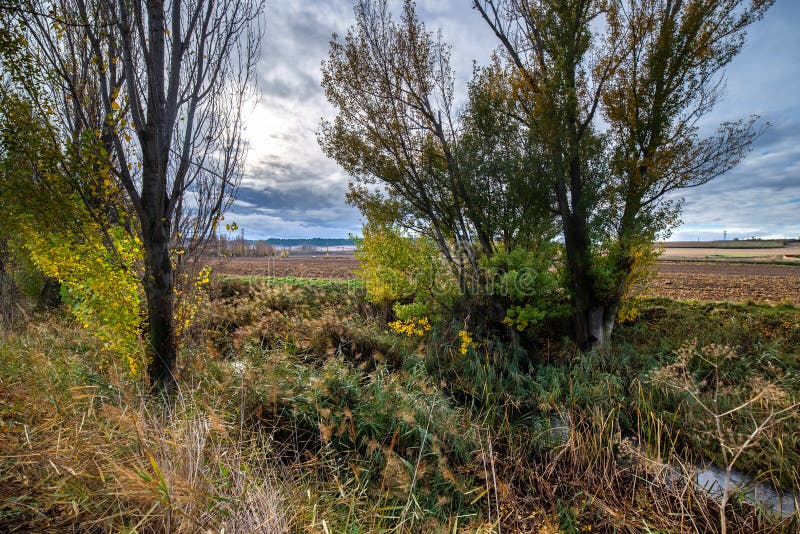 Sad landscape by the rive stock photo. Image of landscape - 201448064