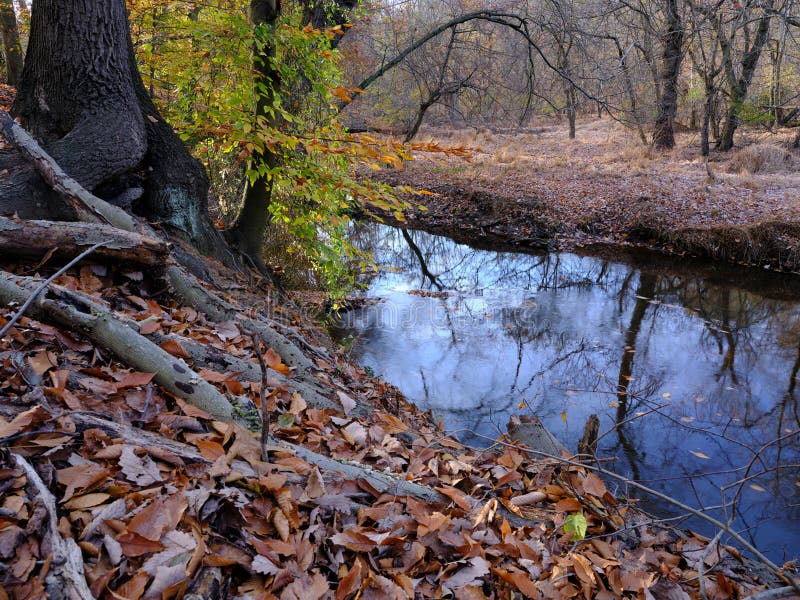 Landscapes and a Brook in Early Morning Light Stock Photo - Image of ...