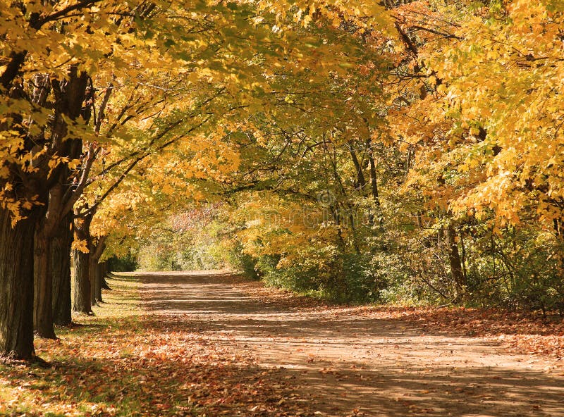 Autumn Lane stock photo. Image of autumn, colors, green - 1468976