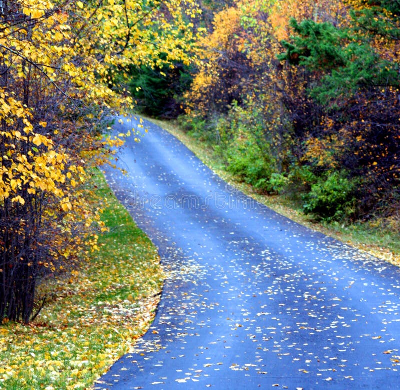Autumn Lane stock photo. Image of curve, lane, season, drive - 267724