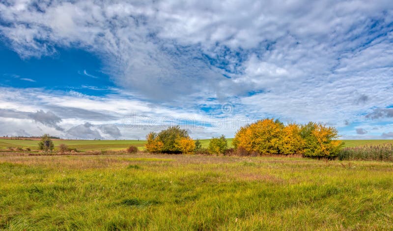 Autumn Lanscape Colour Trees and Meadow Stock Image - Image of ...