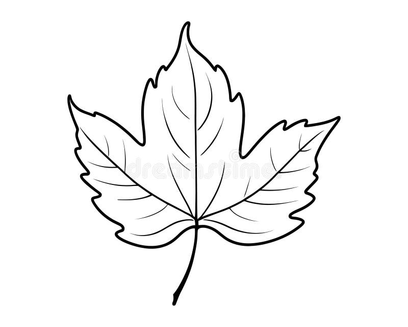 Winter Fall Leaf, Autumn Leaf, Maple Leaf. Flat Line Outline Stroke ...