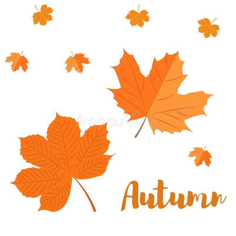 Autumn maple leaf stock vector. Illustration of flat - 120758040