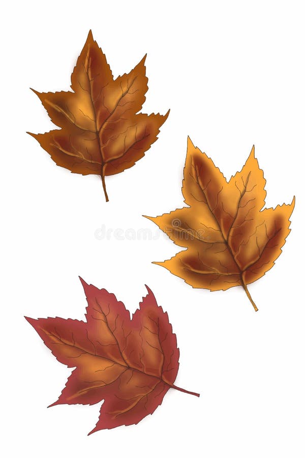 Autumn Leaf Cartoon Isolated Illustration Line Drawing 库存例证 - 插画 包括有 自治 ...