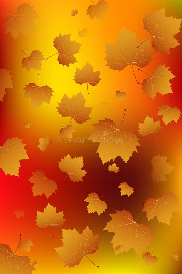 Autumn leaf fall.Vector stock vector. Illustration of foliage - 58564578
