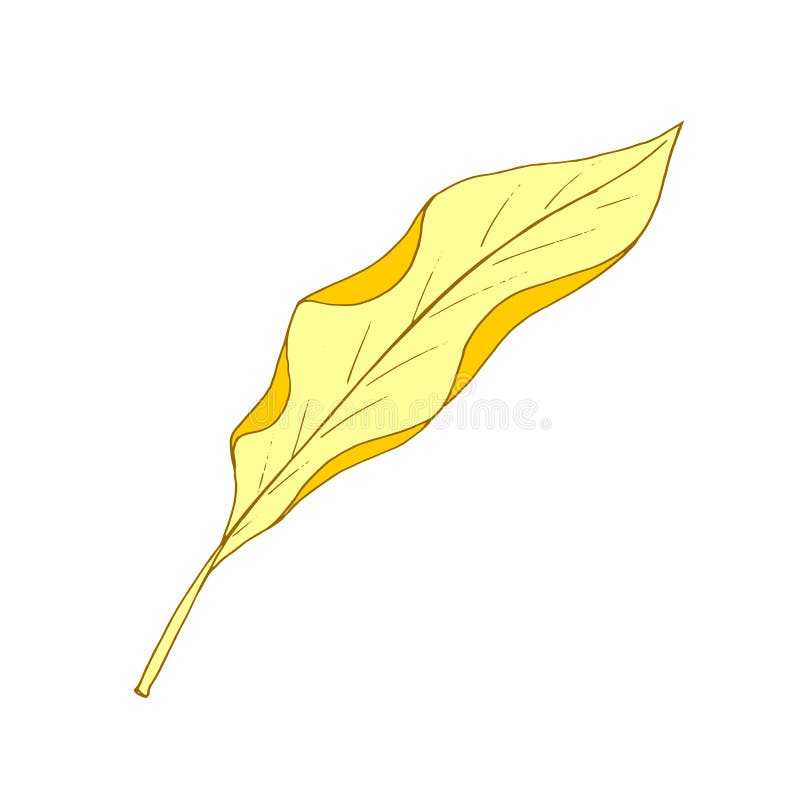 Autumn Leaf Fly in the Wind. Tree Leaf Stock Vector - Illustration of ...