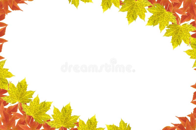 Autumn Leaf Frame stock photo. Image of adorn, autumn - 21592046