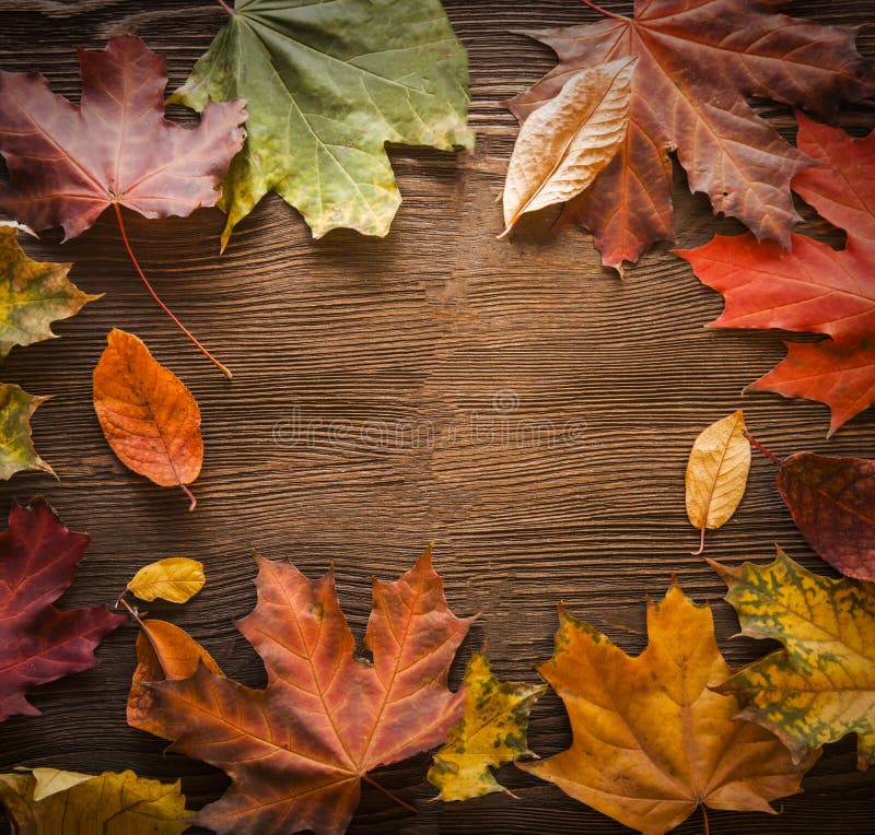 Autumn Leaf Frame for Words and Inscriptions, Copy Space Stock Image ...