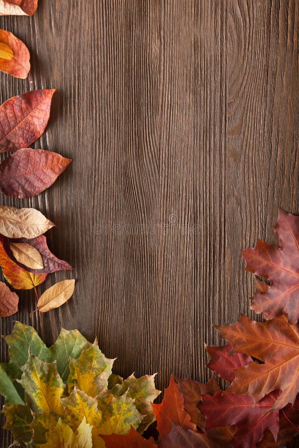 Autumn Leaf Frame for Words and Inscriptions, Copy Space Stock Photo ...