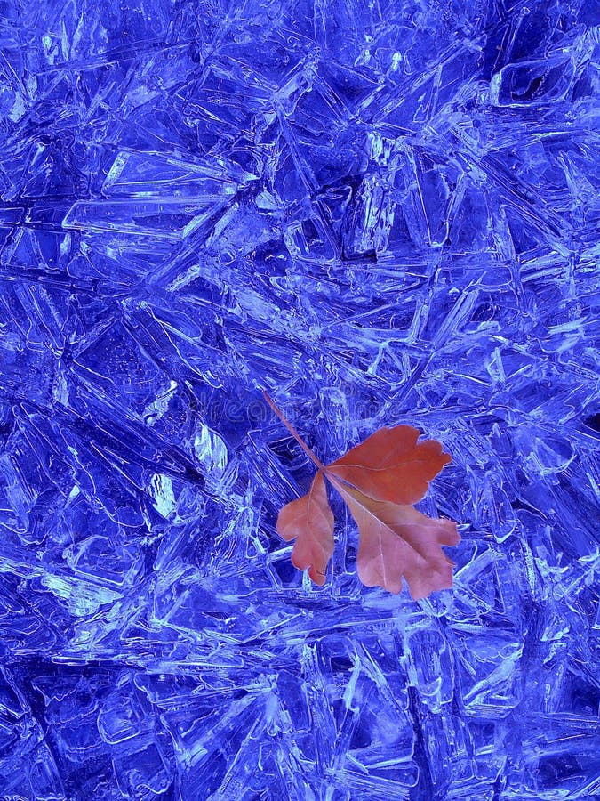 Frozen Blue Ice Crystals stock image. Image of structure - 23955313