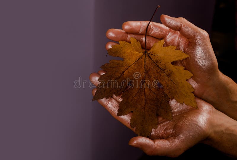 Autumn Leaf on Hands. Hello Autumn and Leaf Fall Dreams. Autumn Sale ...