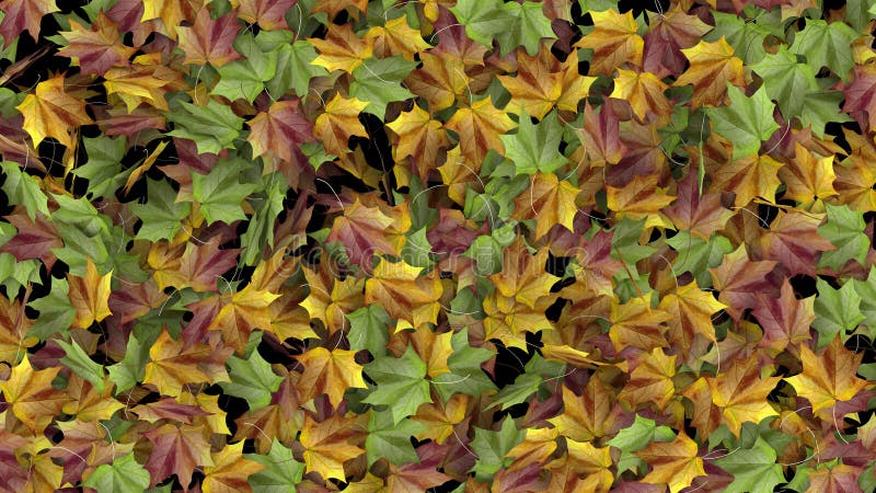 Autumn Leaf - Autumn Leaves Stock Illustration - Illustration of leaves ...