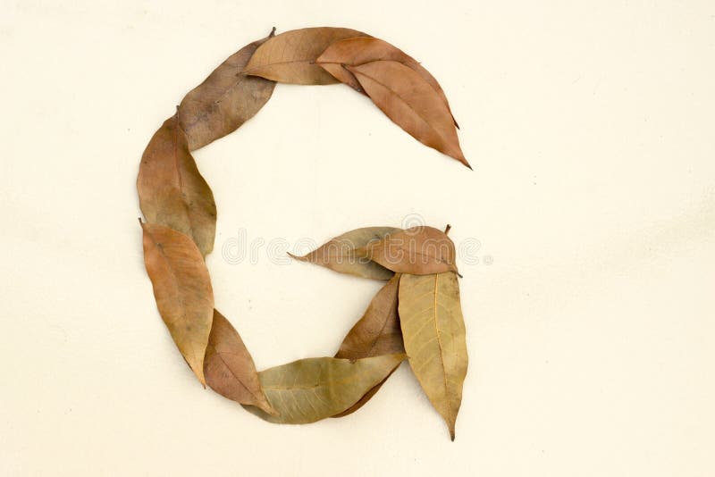 Autumn Leaf Letter G Background Image. Natural Forest Leaf Alphabet ...