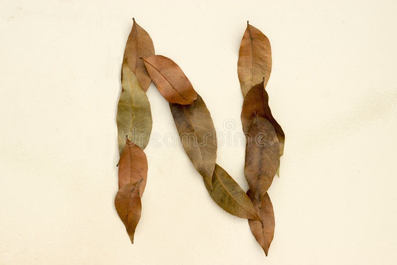 Autumn Leaf Letter N Background Image. Natural Forest Leaf Alphabet ...