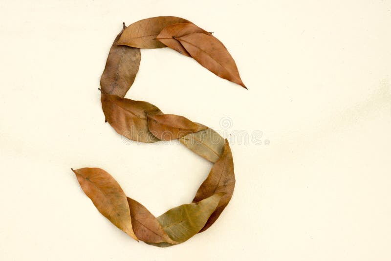 Autumn Leaf Letter S Background Image. Natural Forest Leaf Alphabet ...