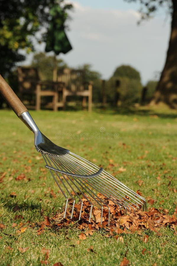 Autumn leaf raking stock image. Image of rakeing, garden - 20030397