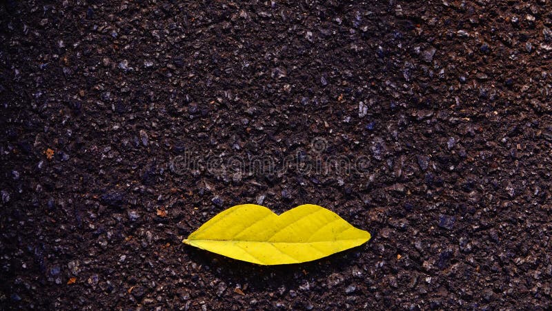 Autumn Leaf on the Road in the Form of Lips Stock Photo - Image of ...