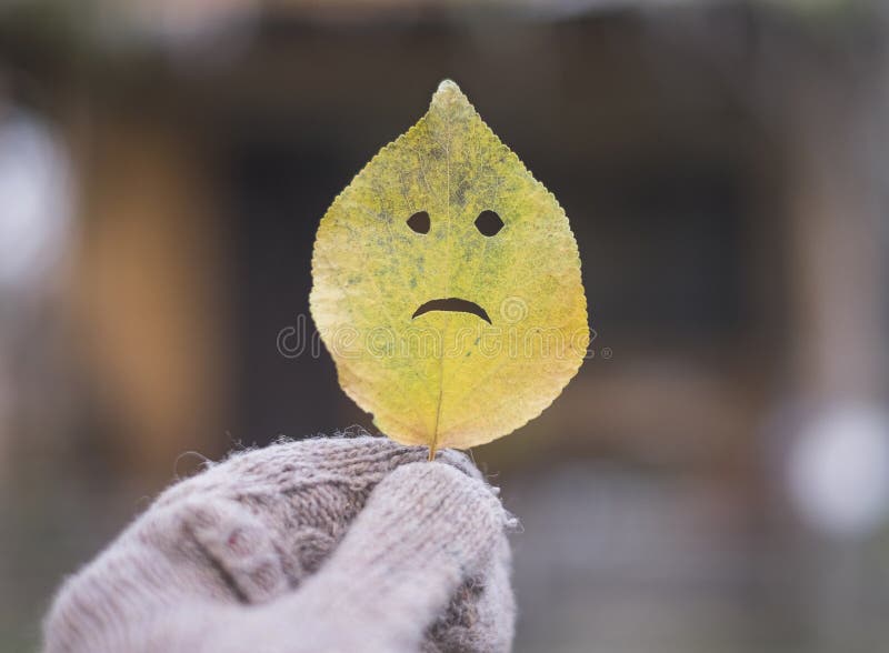 Autumn Leaf Sad Face in a Hand Stock Photo - Image of background, flora ...