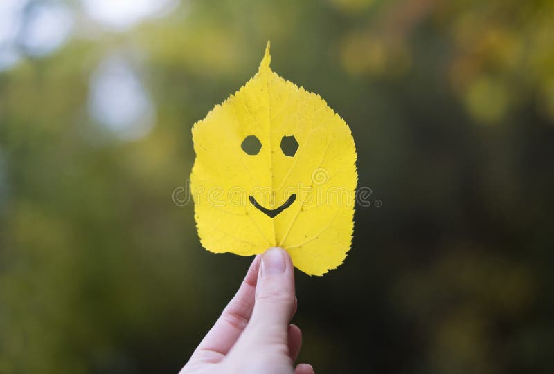 Autumn Leaf Emoji, Smiley in a Hand Stock Image - Image of orange ...