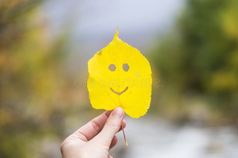 Autumn Leaf Smiling Face in a Hand Stock Image - Image of leaf, autumn ...