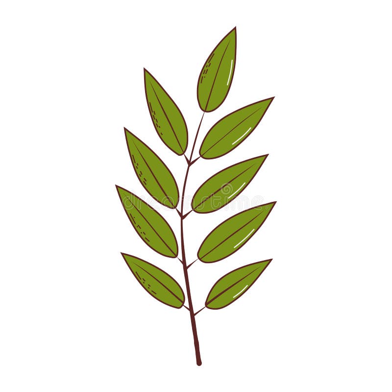 Autumn Leaf. Vector Illustration in Hand Drawn Style Stock Vector ...