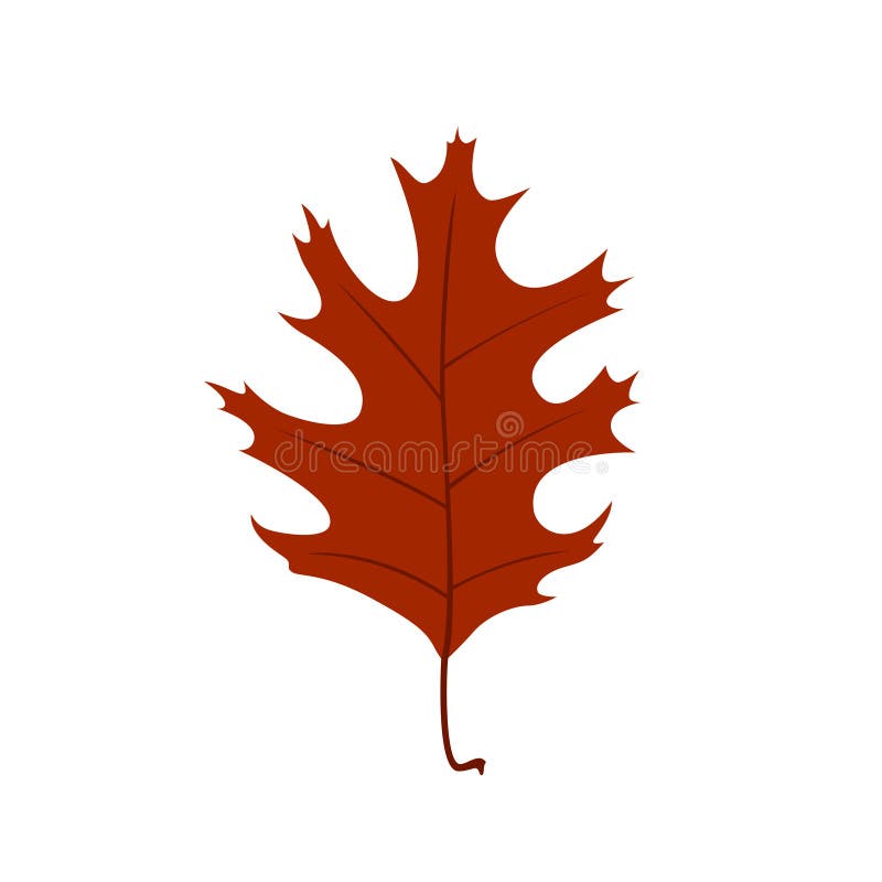 Autumn Leaf on White Background Stock Vector - Illustration of ...