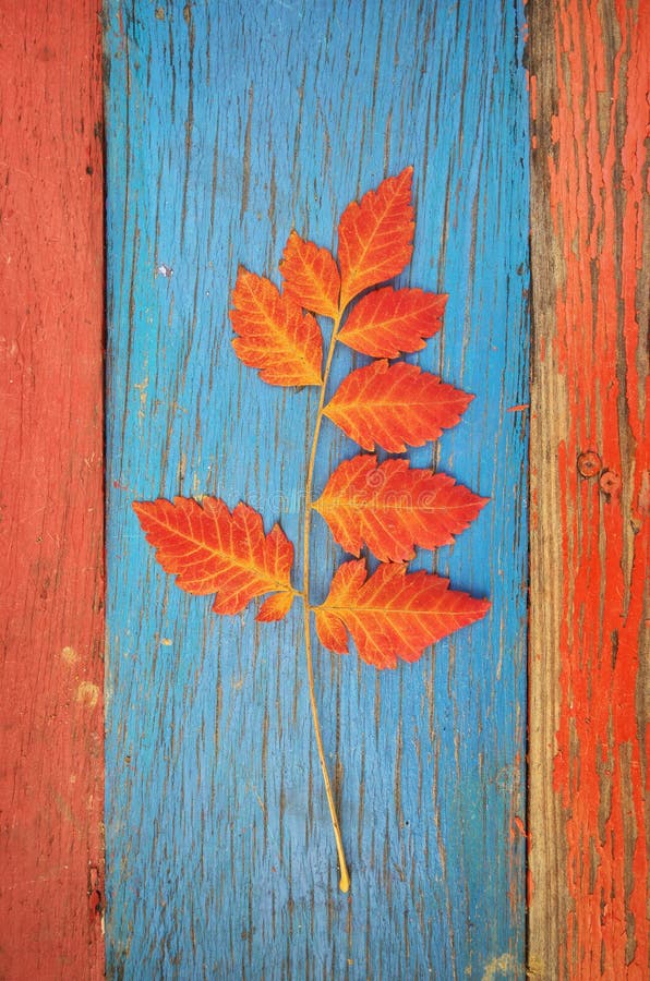 Wood texture stock image. Image of close, desk, build - 14143385